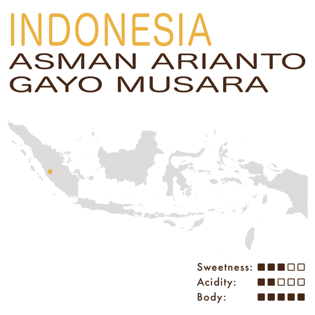 Indonesia - Asman Arianto / Ribang Gayo Musara Cooperative (Fully ...
